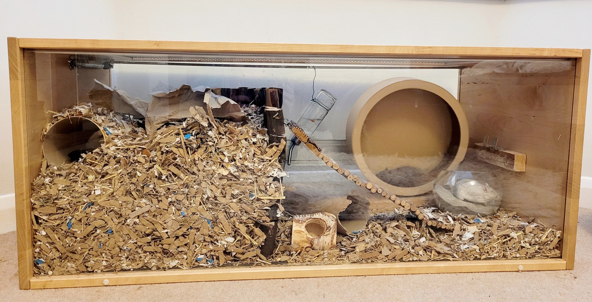 Gerbil Housing: Which Gerbilarium, Gerbil Housing or Gerbil Tank ...