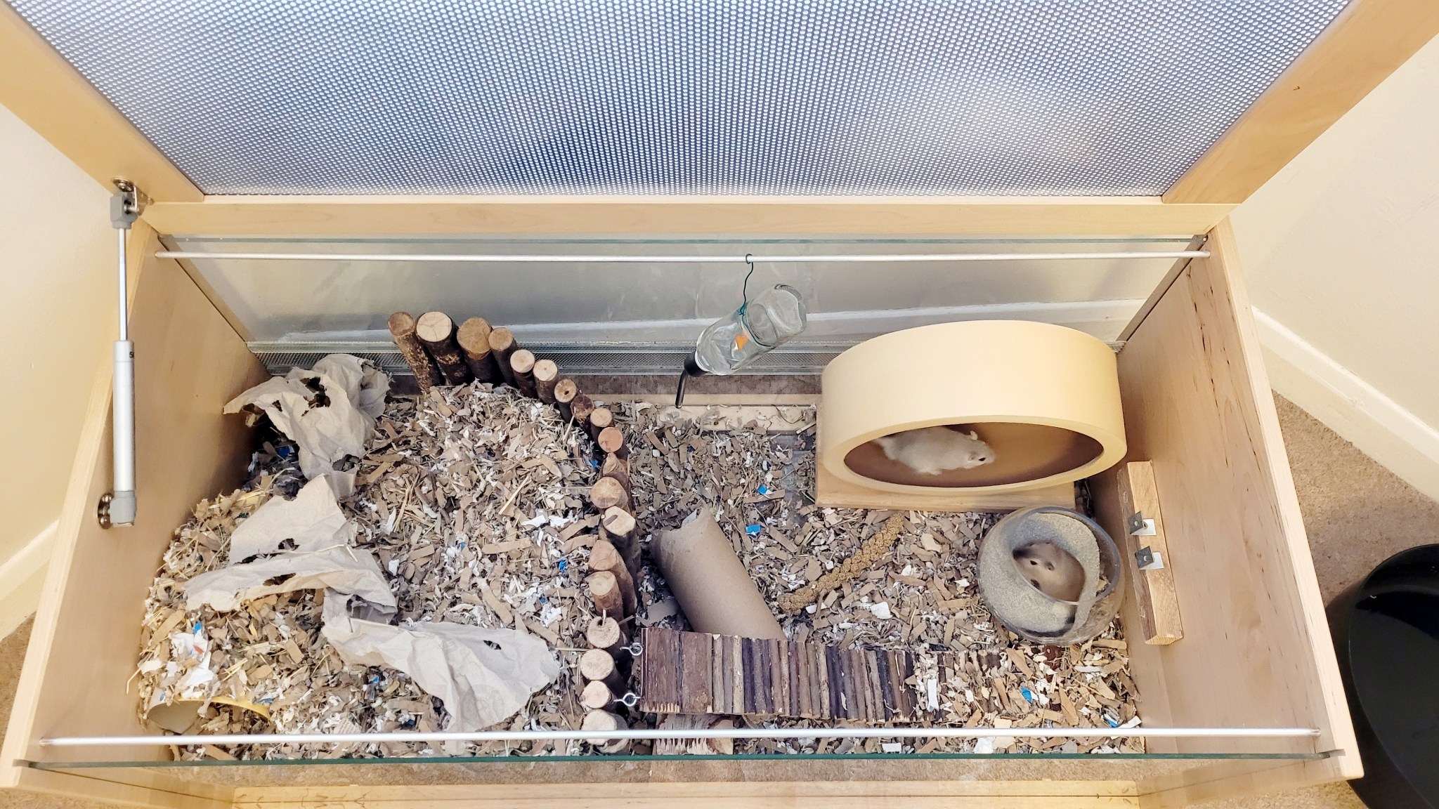 Gerbil Housing: Which Gerbilarium, Gerbil Housing or Gerbil Tank ...
