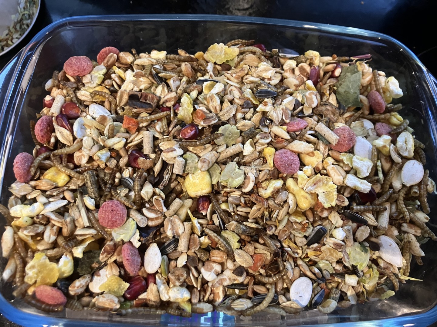 Gerbil Diet, Food & Water – Gerbil Care